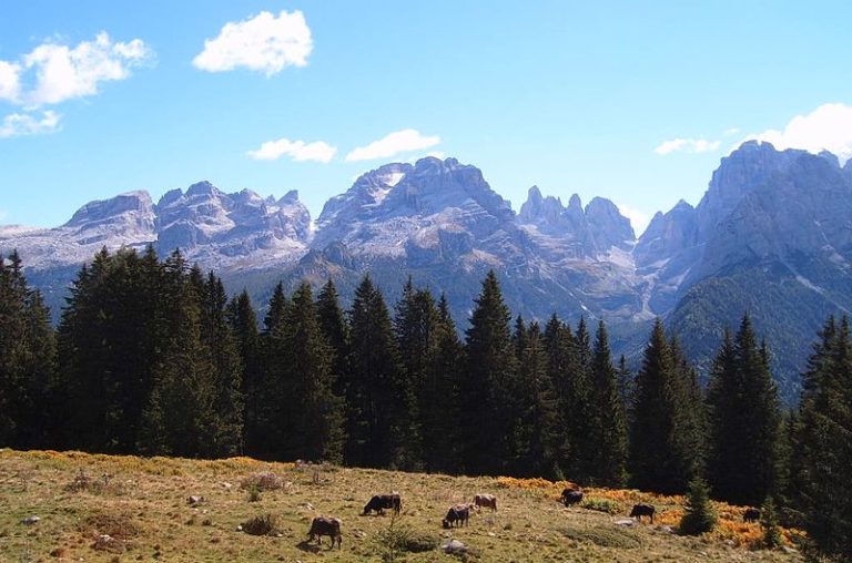 I Monti Pallidi, fascino e leggende delle Dolomiti - Domegge di Cadore